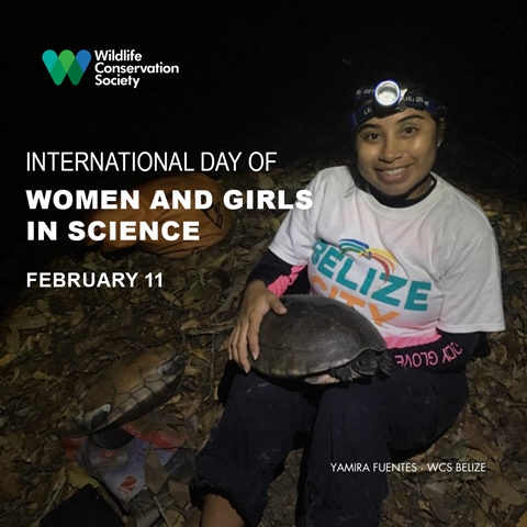 International Day of Women and Girls in Science > WCS Belize